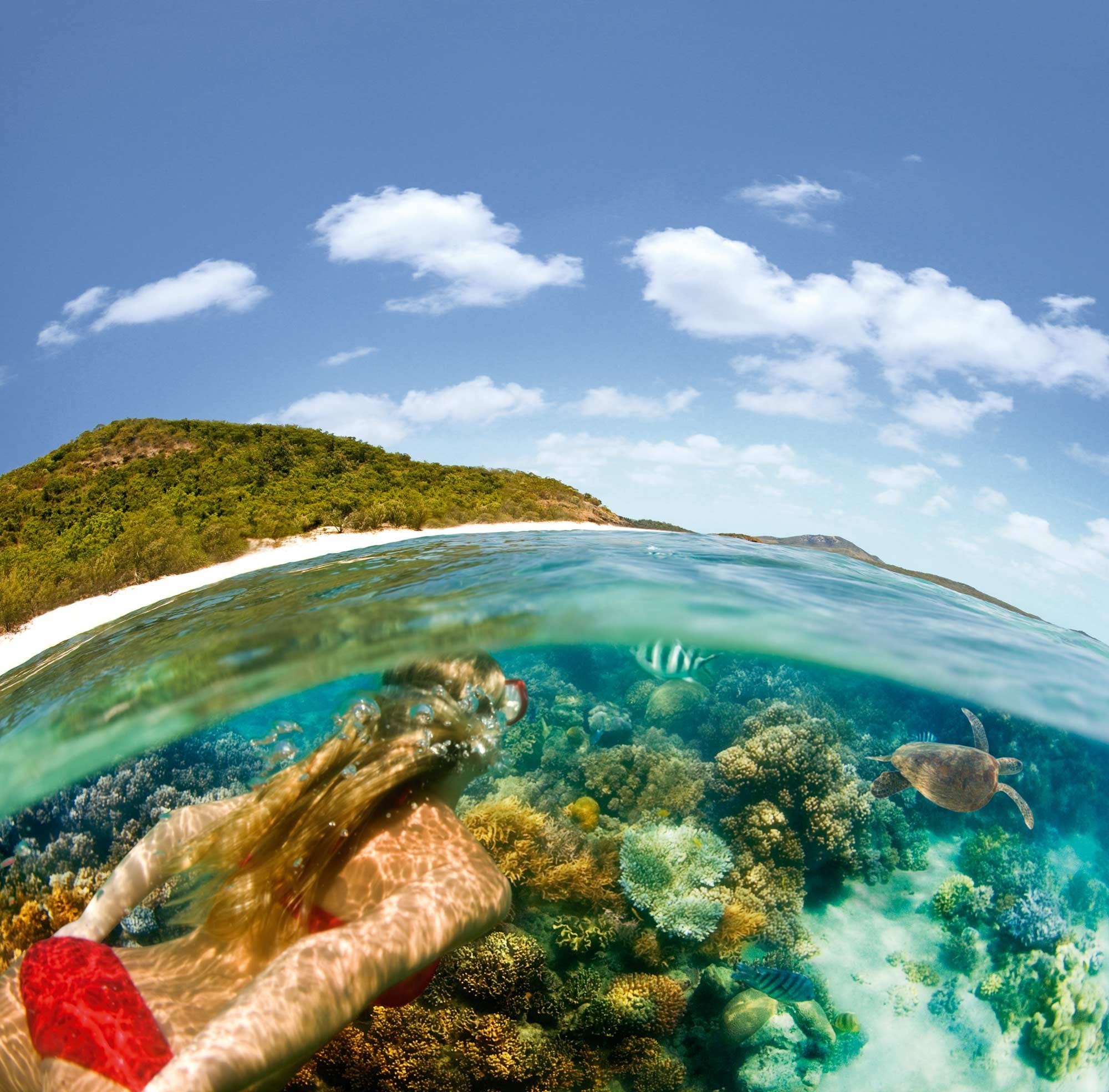 Snorkeling and Diving Tours | Hamilton Island Luxury Accommodation
