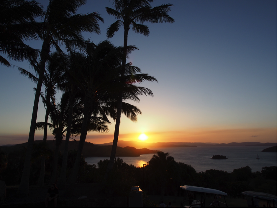 Hamilton Island Wildlife | Family Holiday Hamilton Island