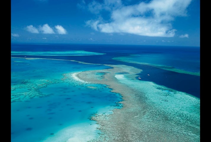 Things to do on Hamilton Island, Whitsundays & Great Barrier Reef